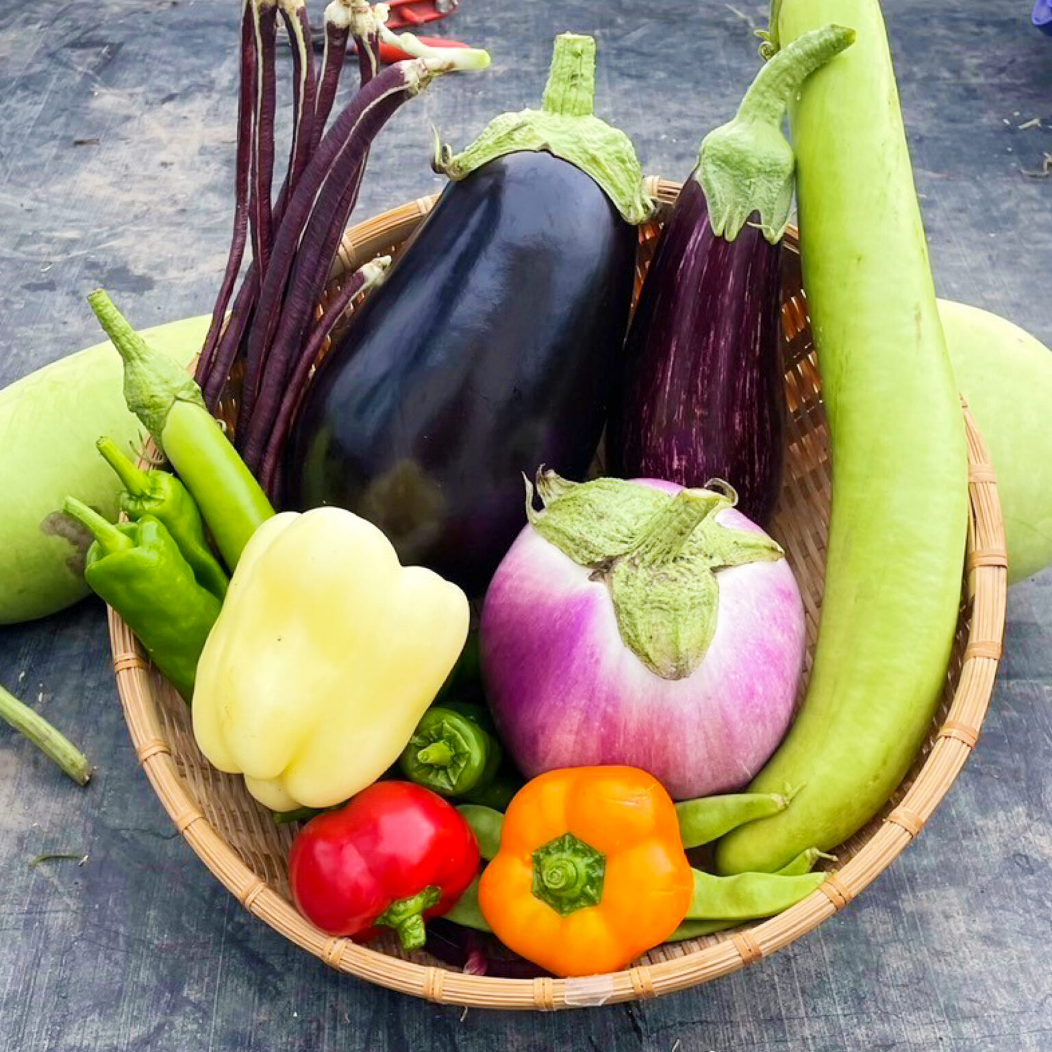 About - restaurant kigi (レストラン キギ)